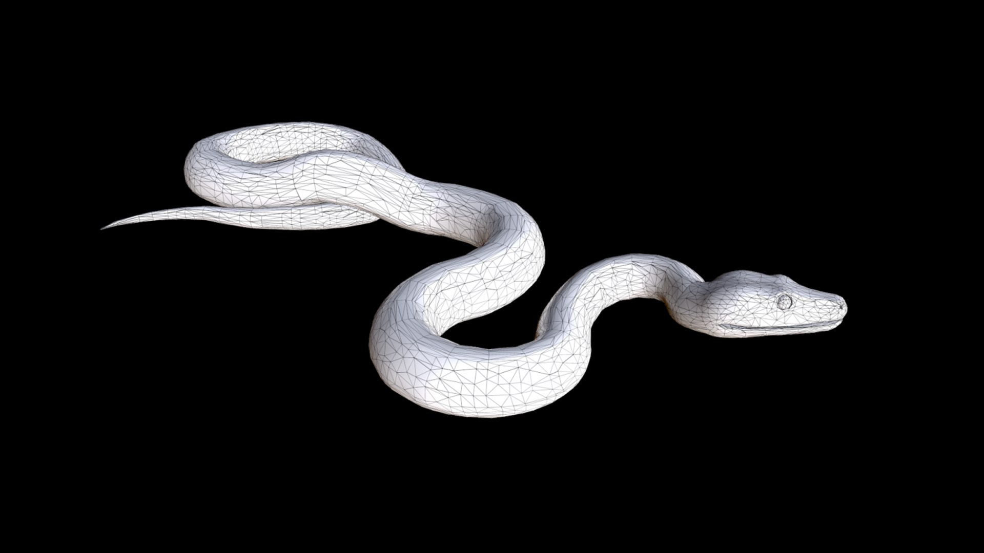 Snake 3D Model - TurboSquid 1807136