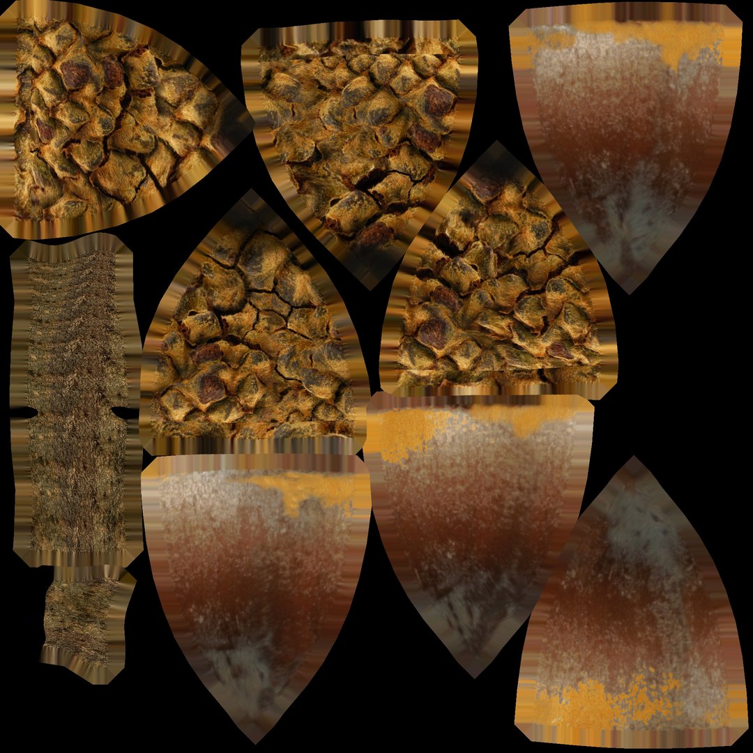 3D Acorns Low-poly 3D - TurboSquid 1879282