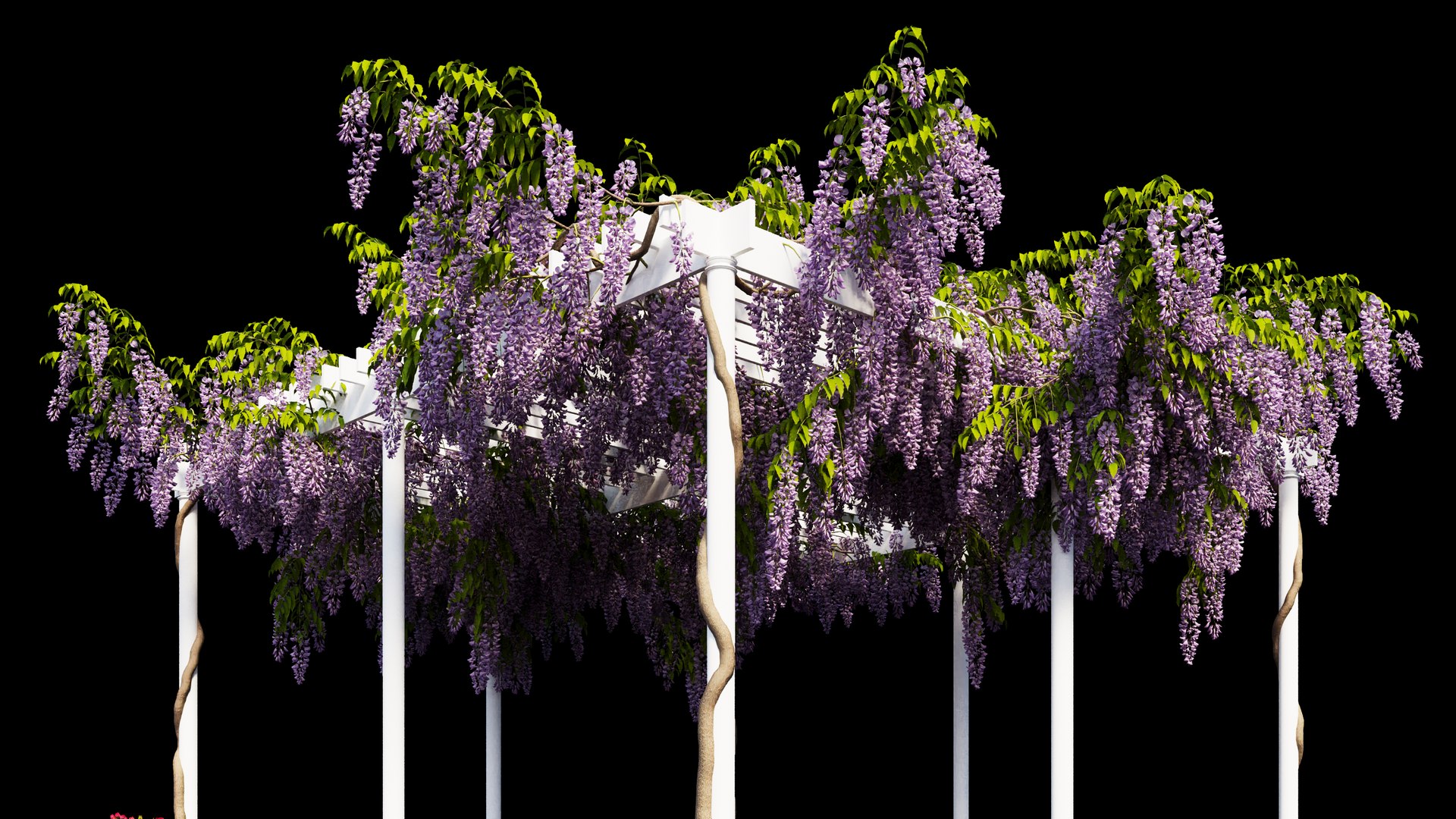 3D Model Wisterial Tree - TurboSquid 1541274