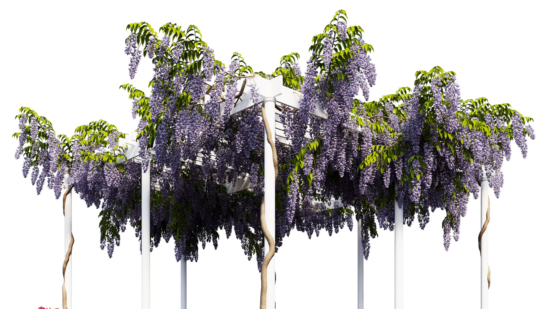 3D Model Wisterial Tree - TurboSquid 1541274