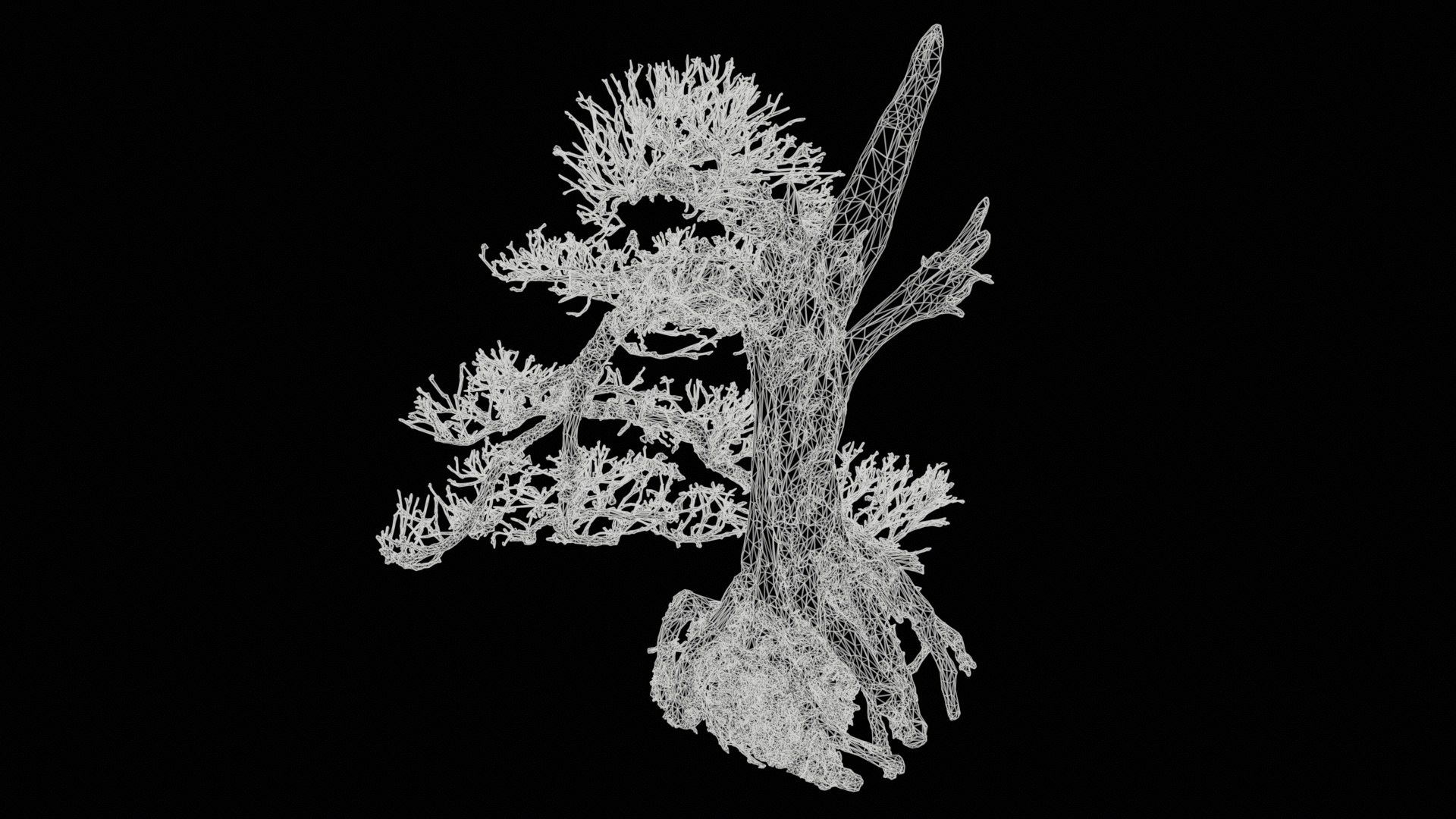 Dead Bonsai Tree 3 Remastered 3D Model - TurboSquid 2363127