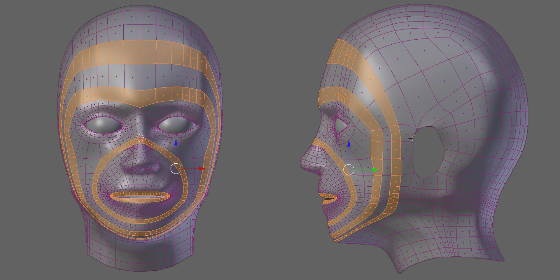 Template Face Loops Obj Free