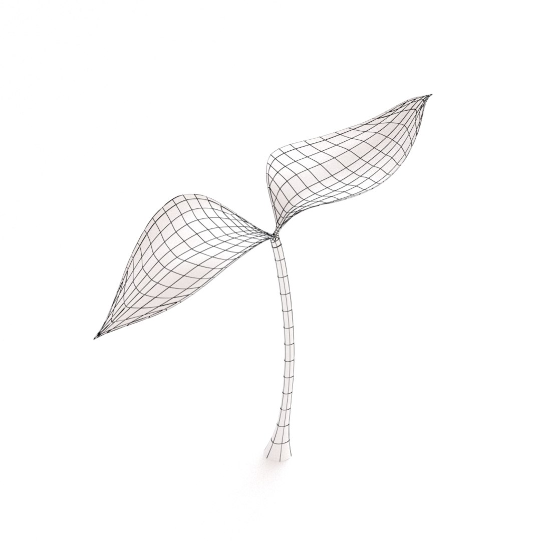 3D growing plant leaf model - TurboSquid 1410034