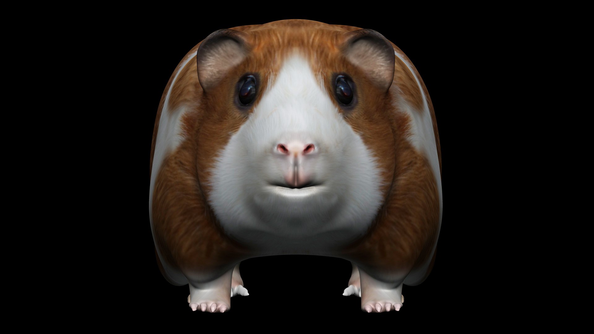 3D Fully Rigged Low Poly Guinea Pig Model - TurboSquid 1724849