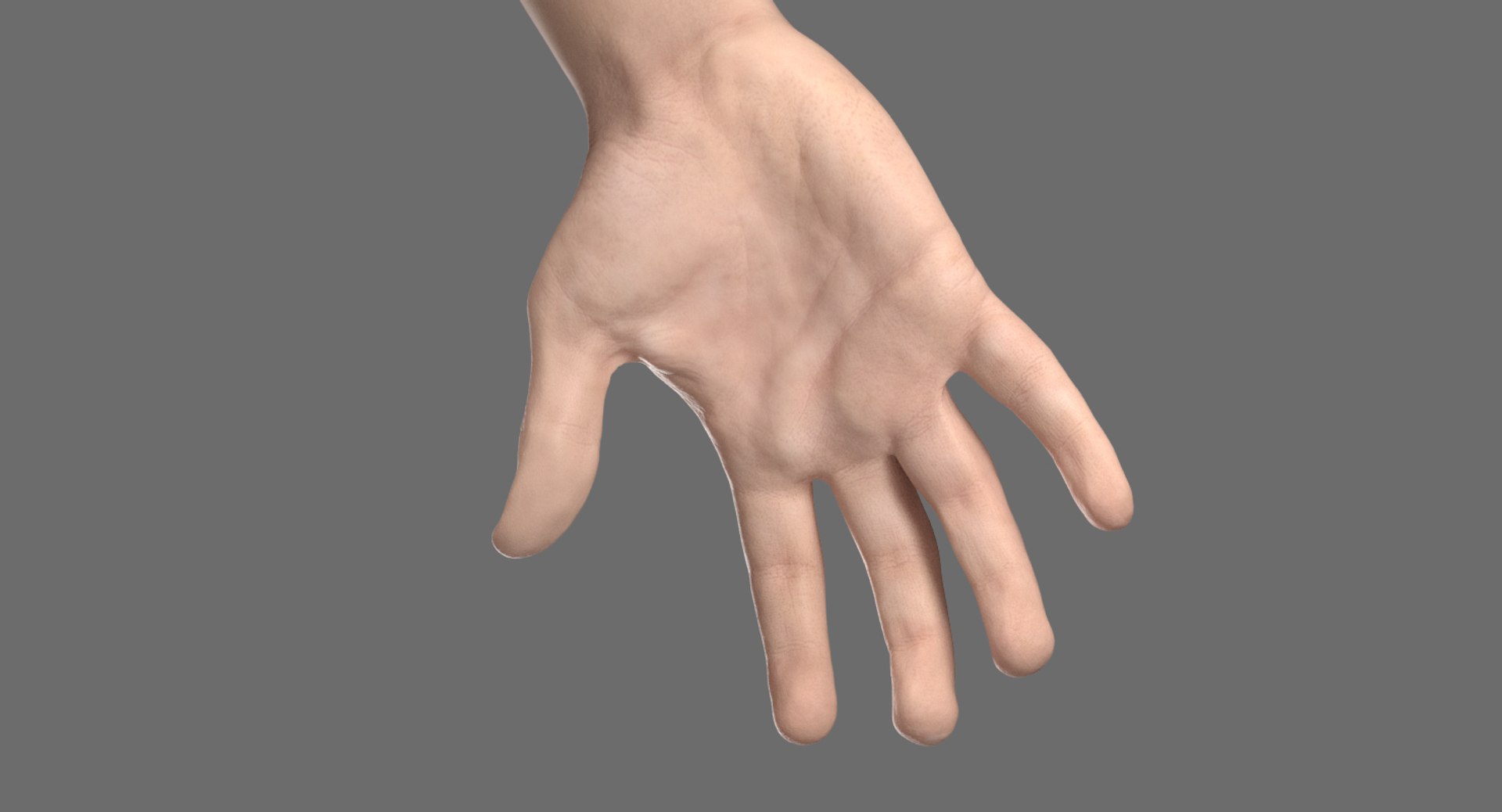 male mark 3d model