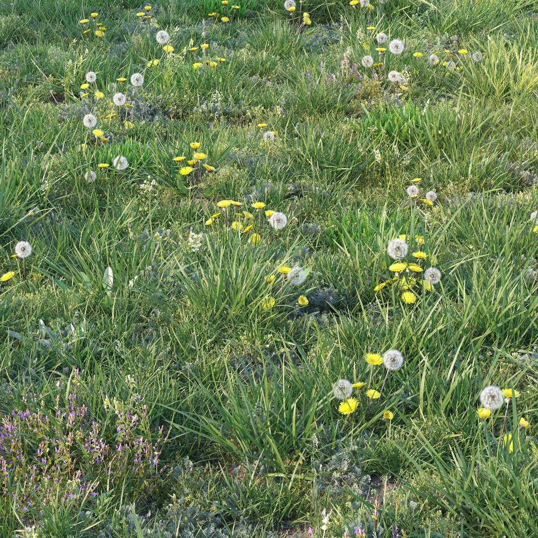 3D Spring Grass - TurboSquid 1723404