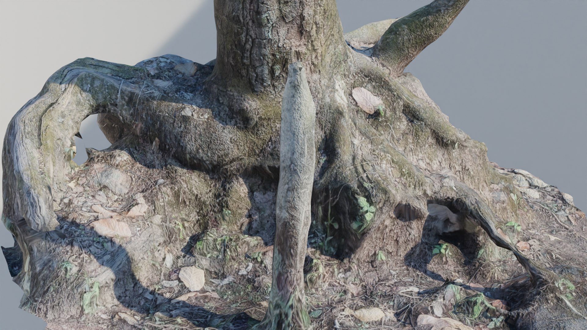 Tree Photo-scan Re-Typologies Low Poly Mid Poly And Raw Photo-scan ...