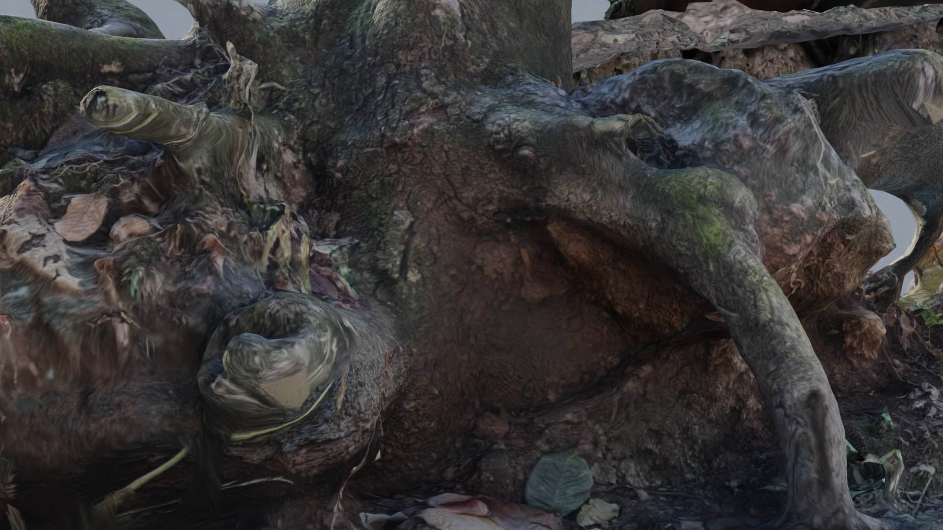 Tree Photo-scan Re-Typologies Low Poly Mid Poly And Raw Photo-scan ...