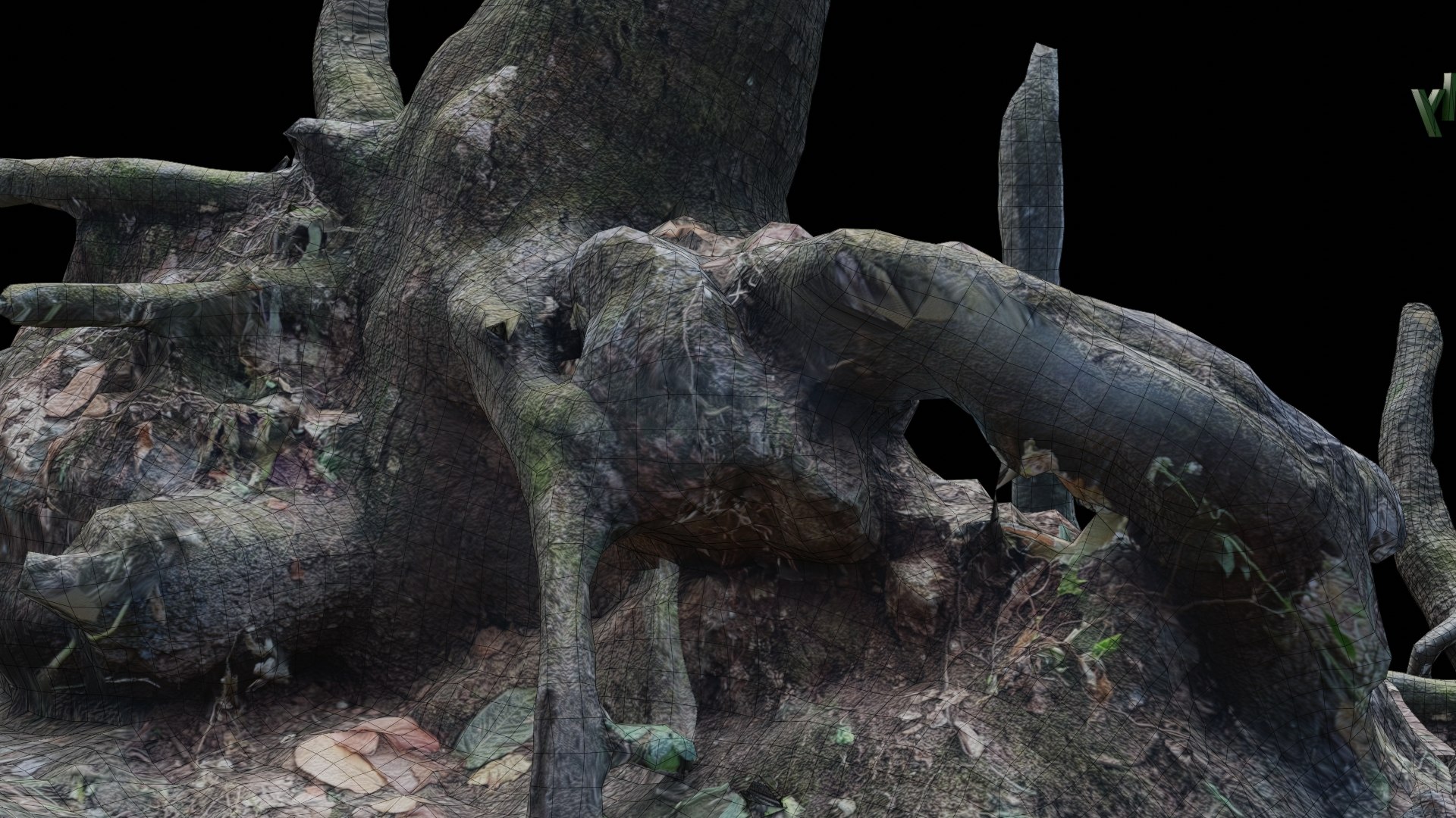 Tree Photo-scan Re-Typologies Low poly Mid poly and Raw photo-scan ...