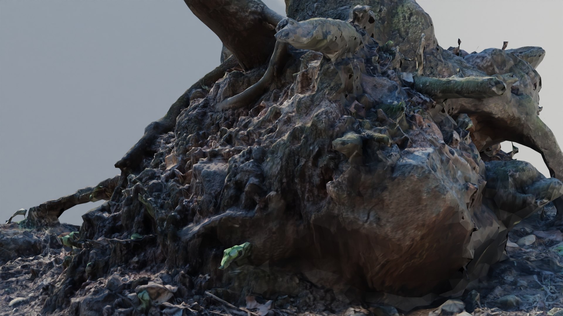 Tree Photo-scan Re-Typologies Low Poly Mid Poly And Raw Photo-scan ...