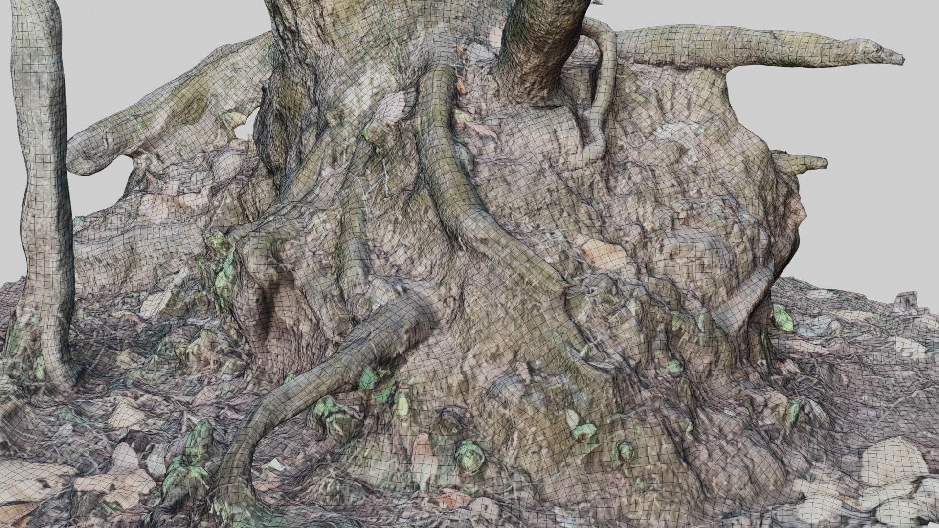 Tree Photo-scan Re-Typologies Low poly Mid poly and Raw photo-scan ...