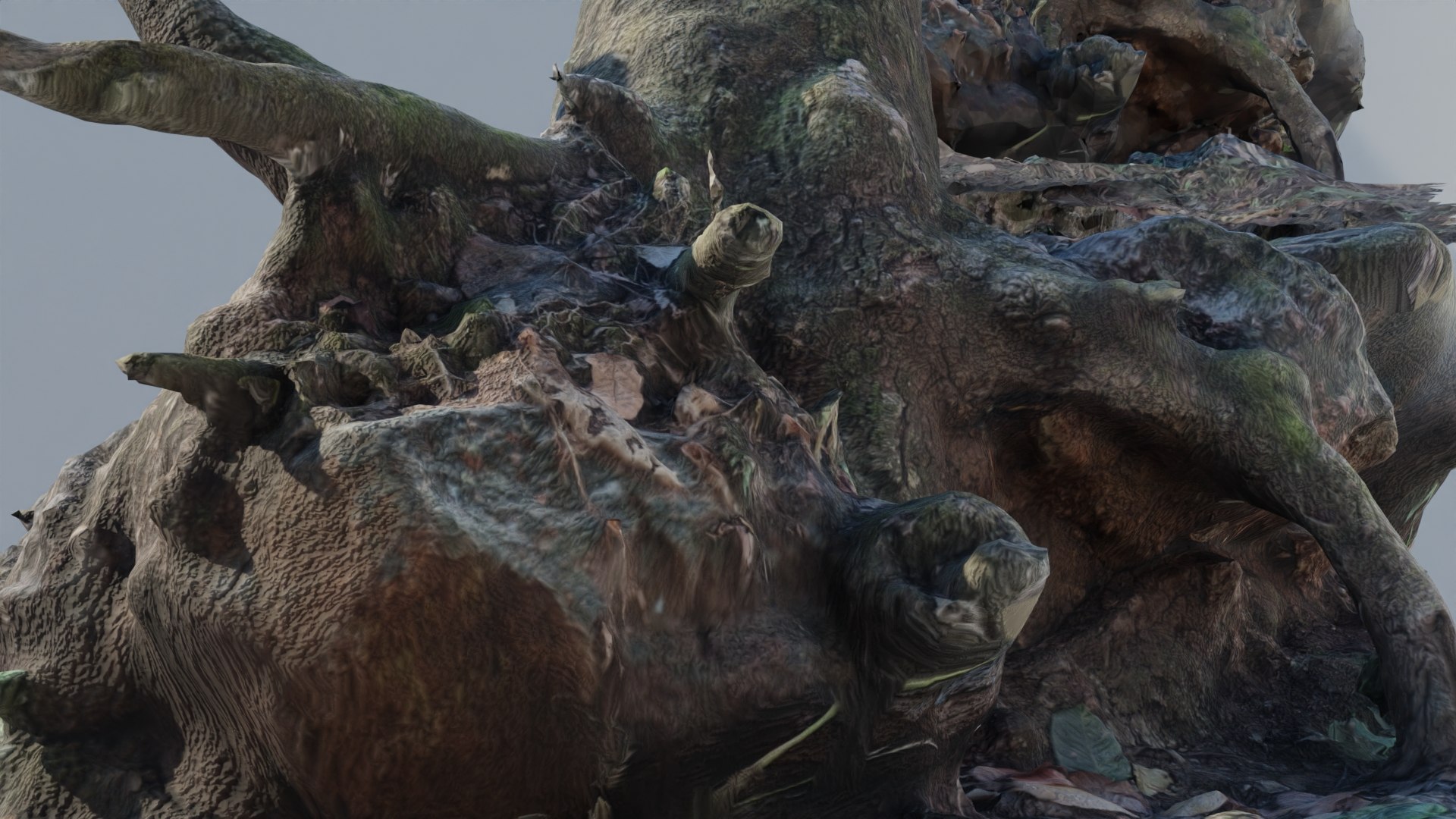 Tree Photo-scan Re-Typologies Low Poly Mid Poly And Raw Photo-scan ...