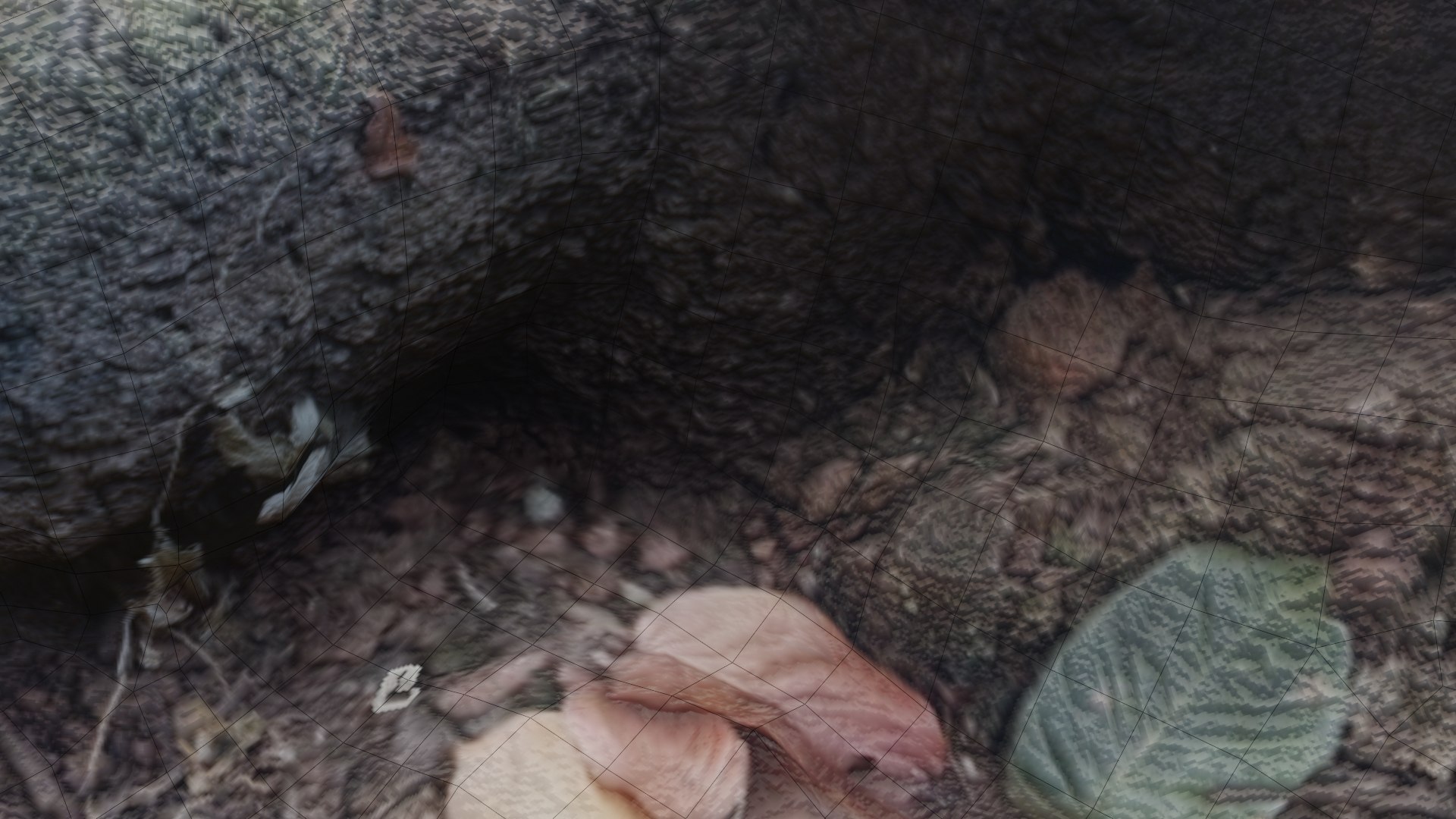 Tree Photo-scan Re-Typologies Low poly Mid poly and Raw photo-scan ...