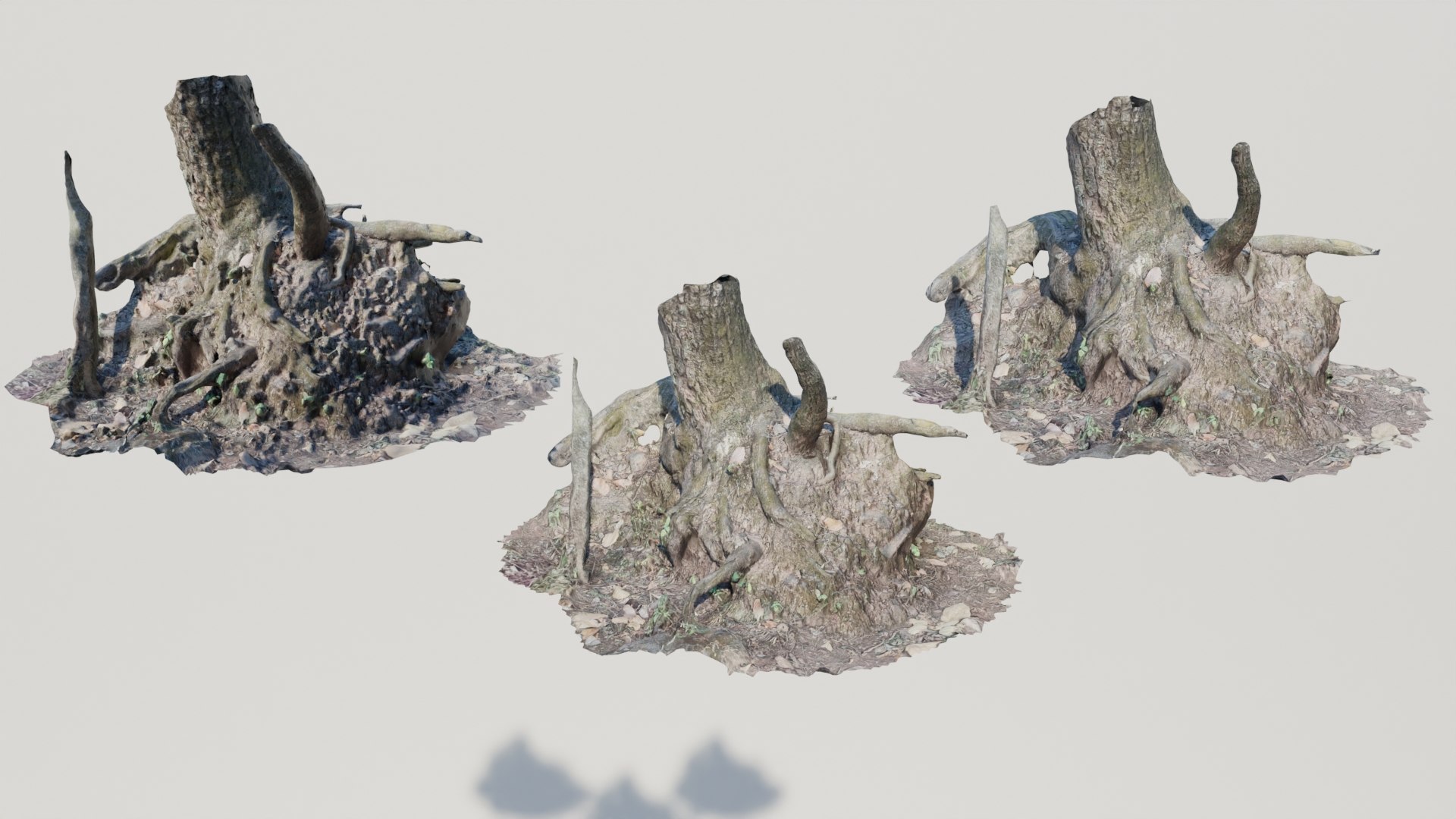 Tree Photo-scan Re-Typologies Low Poly Mid Poly And Raw Photo-scan ...