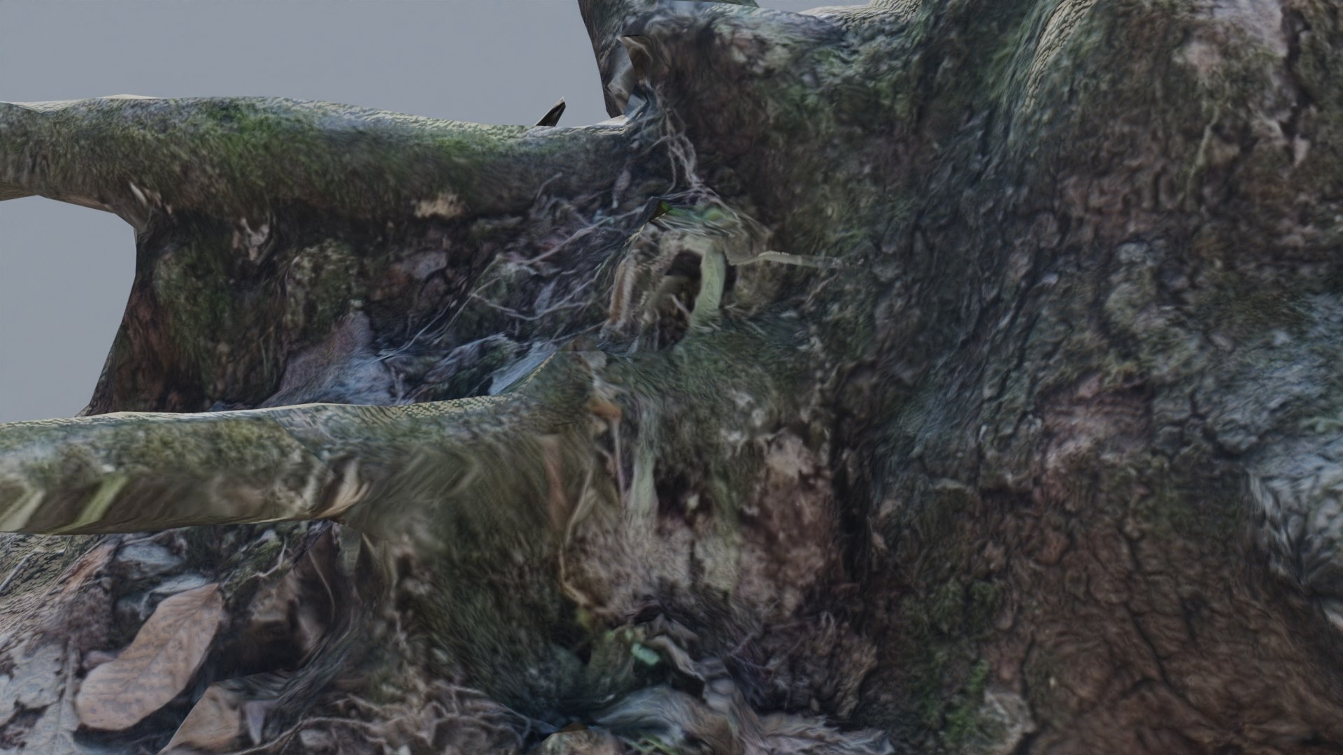 Tree Photo-scan Re-Typologies Low Poly Mid Poly And Raw Photo-scan ...