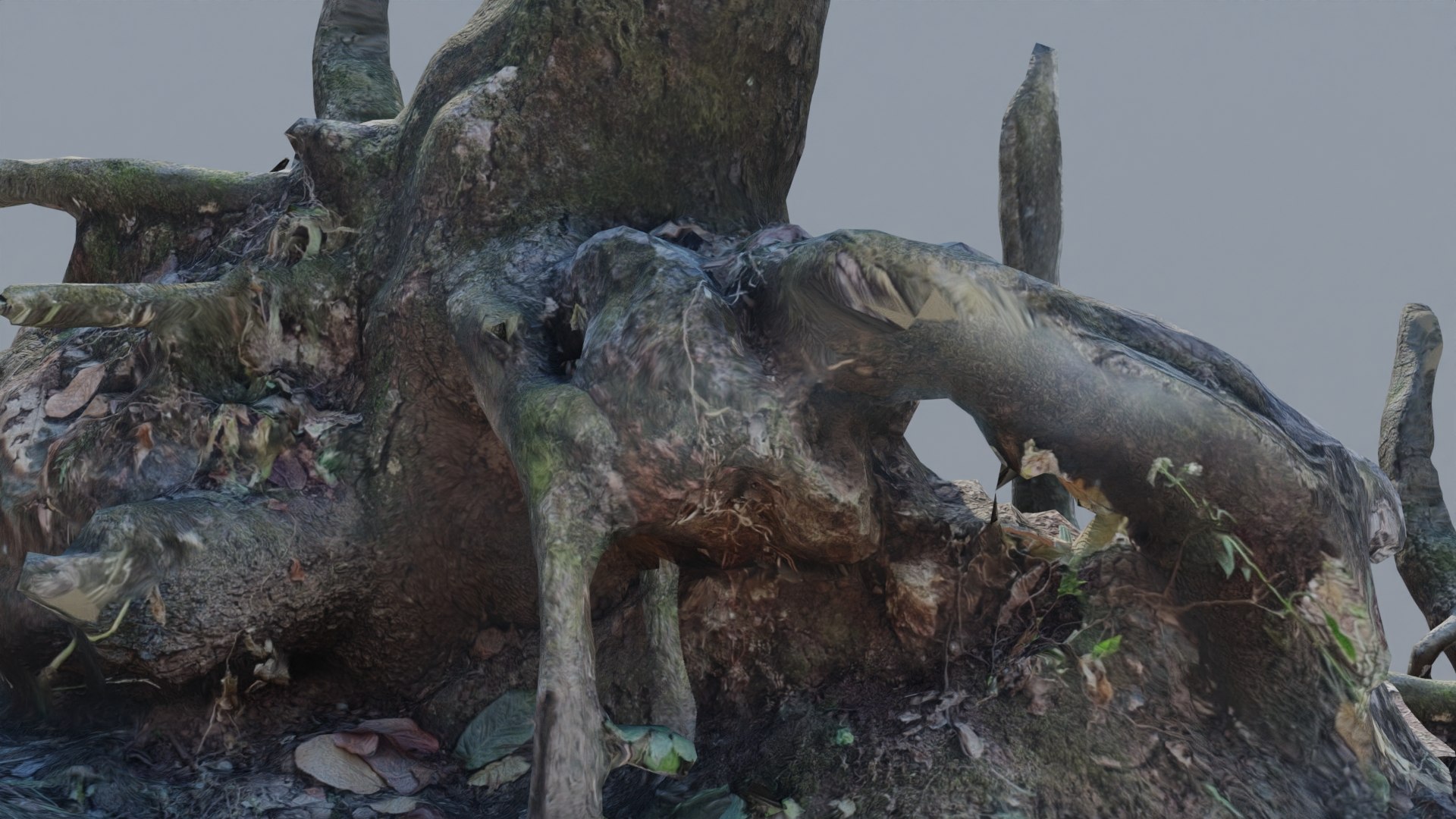 Tree Photo-scan Re-Typologies Low Poly Mid Poly And Raw Photo-scan ...