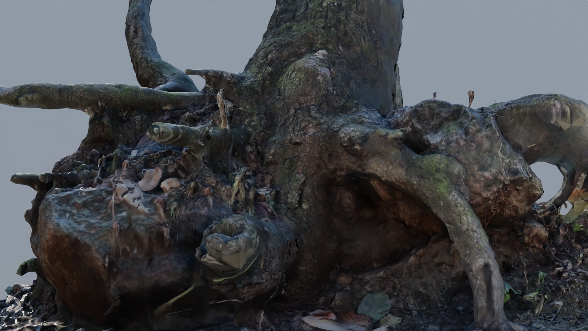 Tree Photo-scan Re-Typologies Low Poly Mid Poly And Raw Photo-scan ...