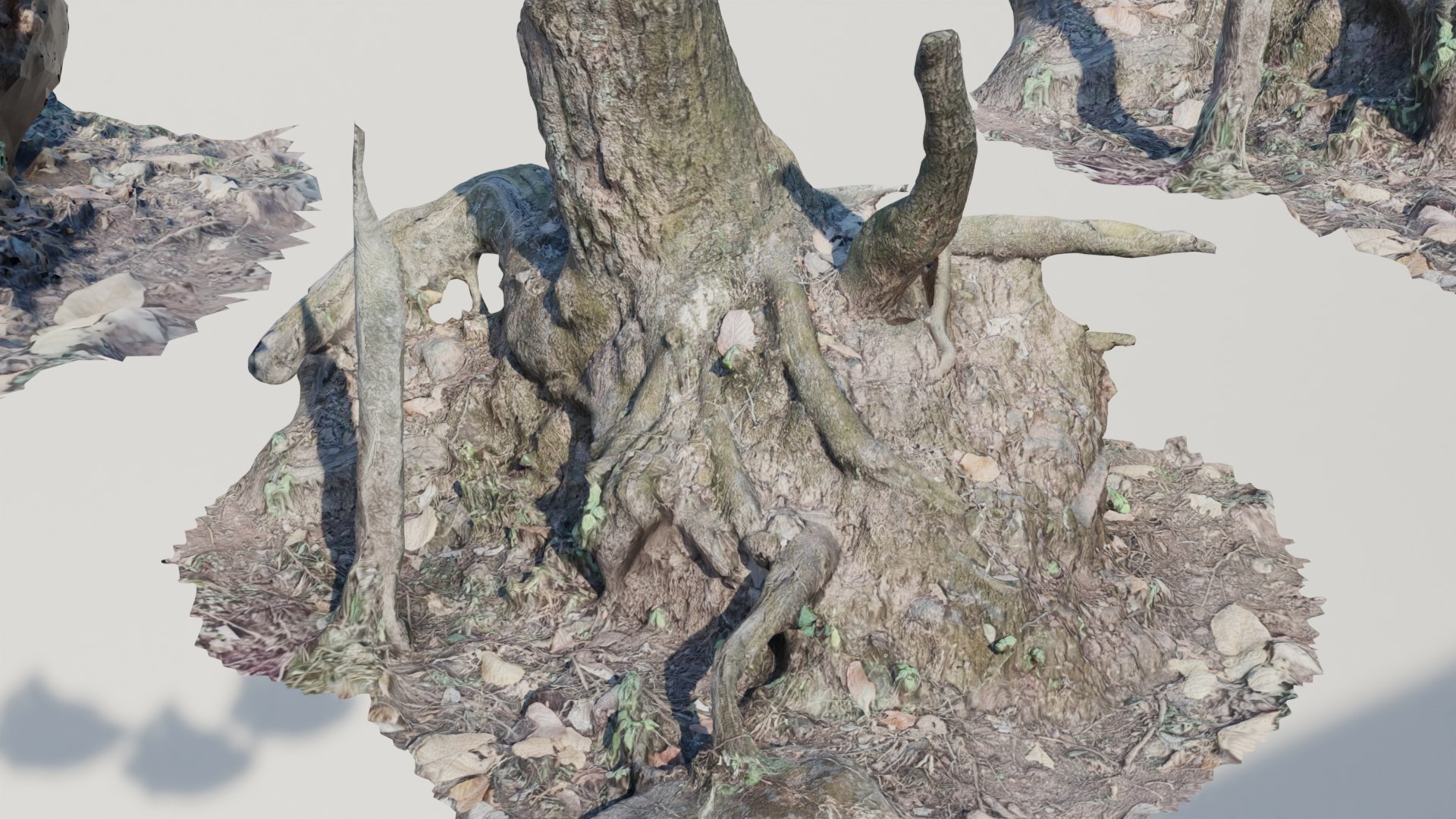 Tree Photo-scan Re-Typologies Low Poly Mid Poly And Raw Photo-scan ...