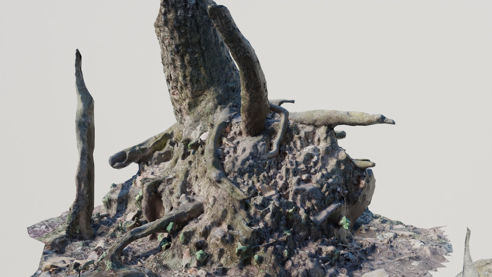 Tree Photo-scan Re-Typologies Low Poly Mid Poly And Raw Photo-scan ...