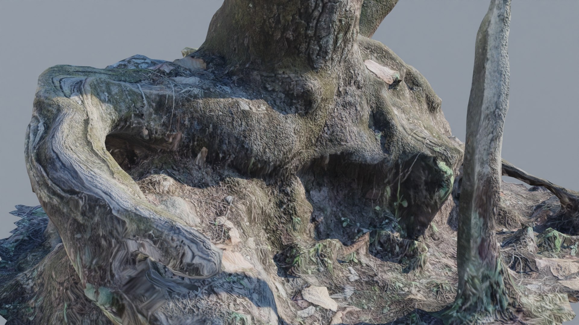 Tree Photo-scan Re-Typologies Low Poly Mid Poly And Raw Photo-scan ...