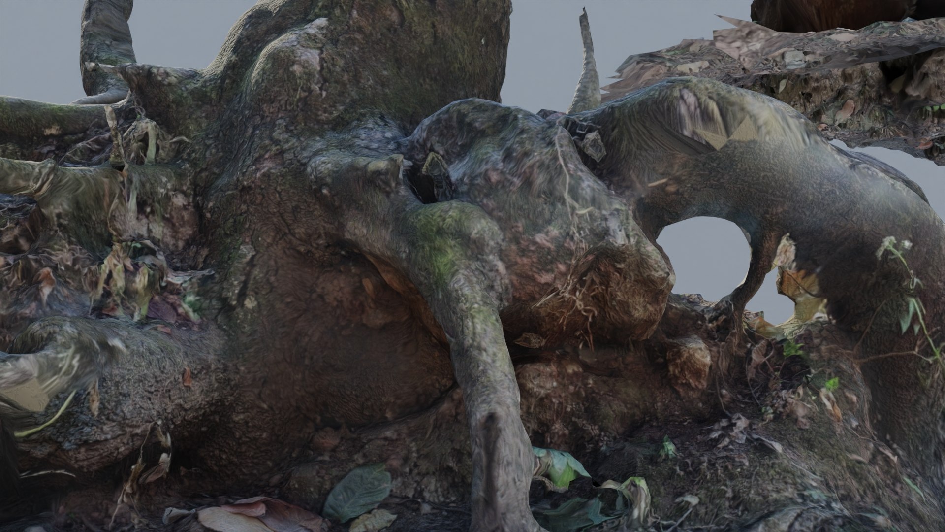 Tree Photo-scan Re-Typologies Low Poly Mid Poly And Raw Photo-scan ...