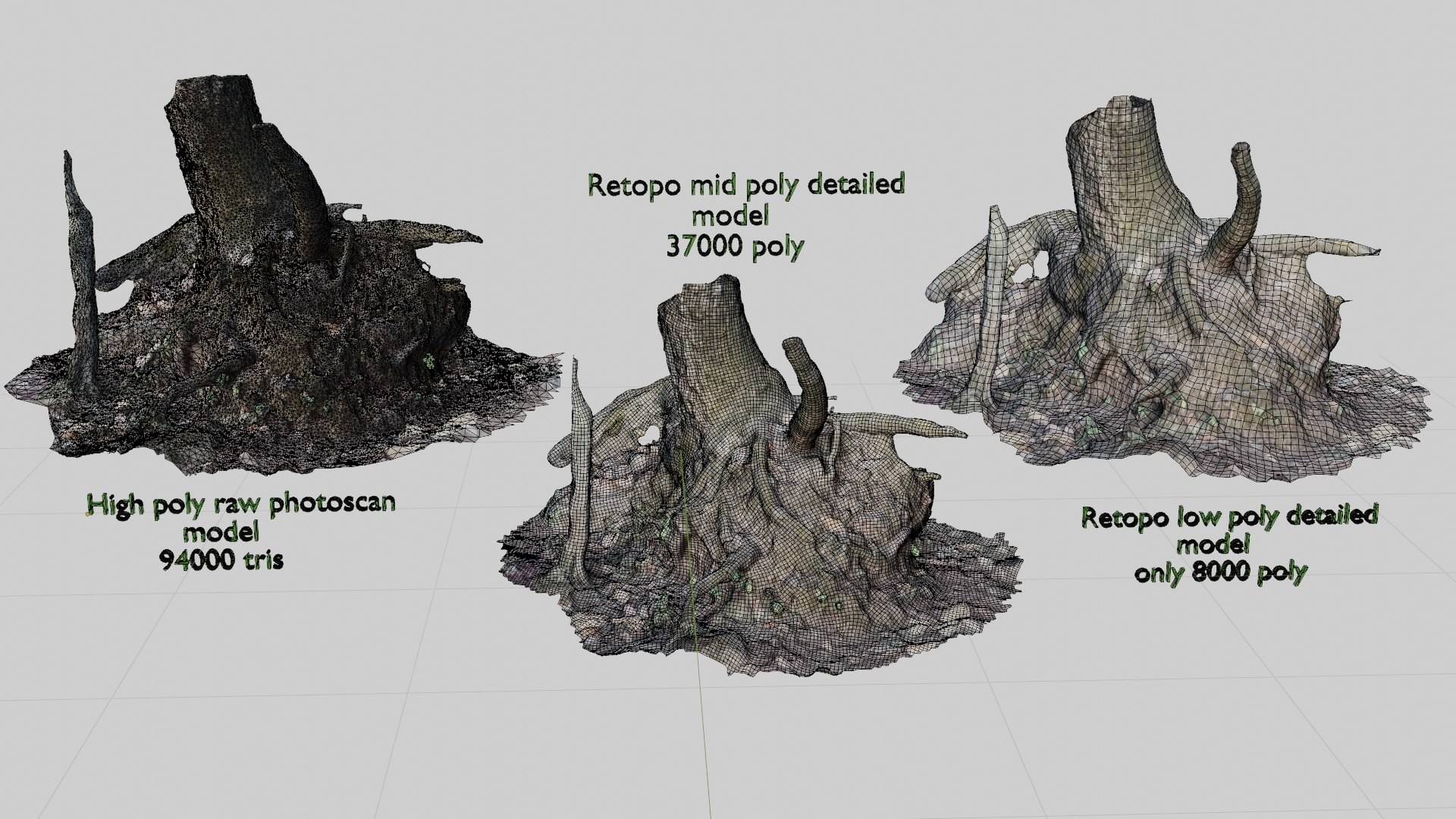 Tree Photo-scan Re-Typologies Low poly Mid poly and Raw photo-scan ...