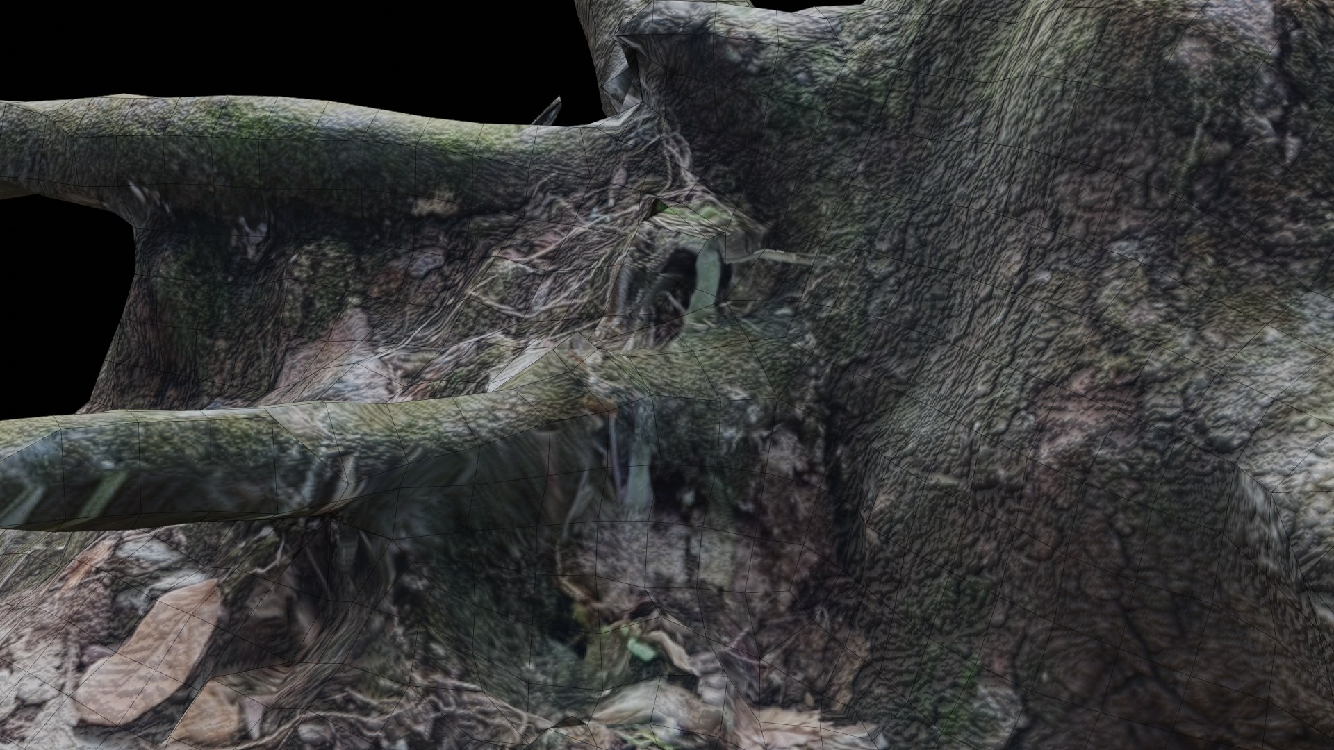 Tree Photo-scan Re-Typologies Low poly Mid poly and Raw photo-scan ...