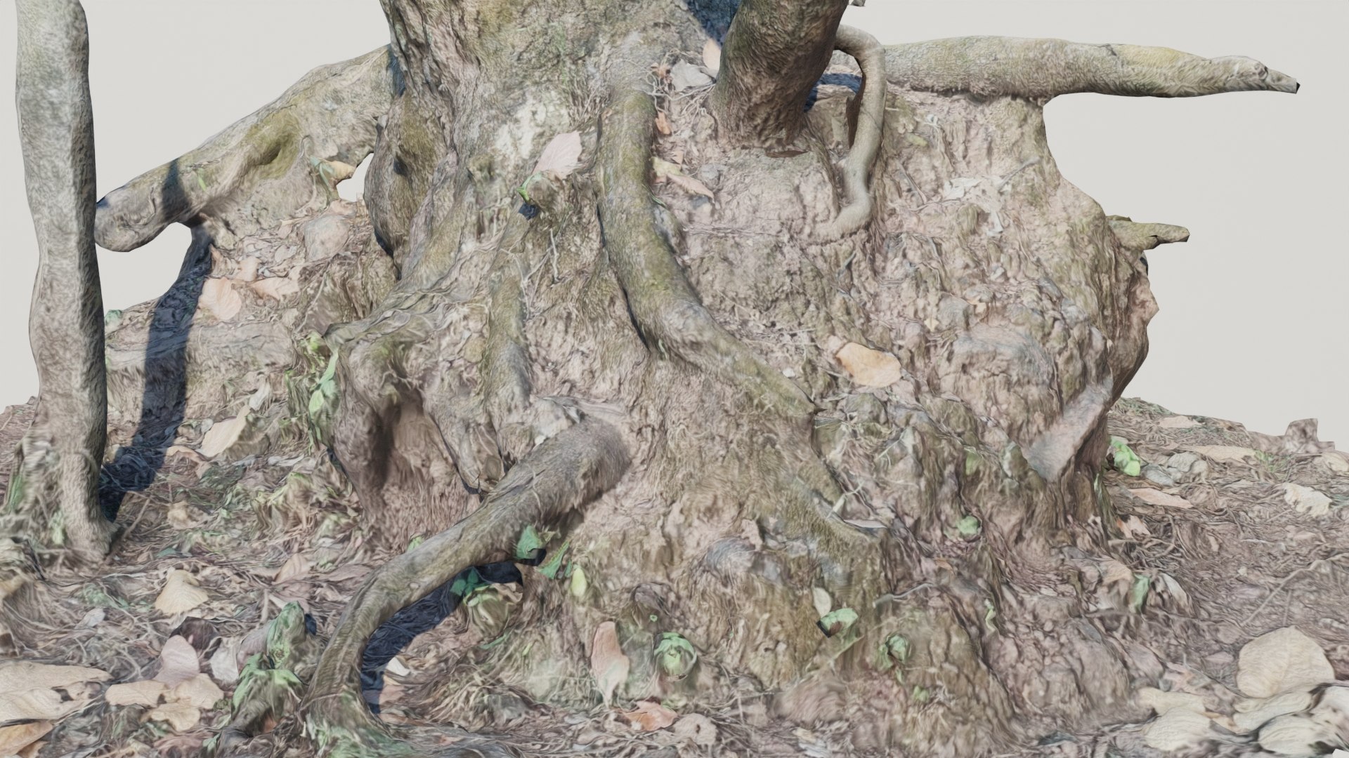 Tree Photo-scan Re-Typologies Low Poly Mid Poly And Raw Photo-scan ...