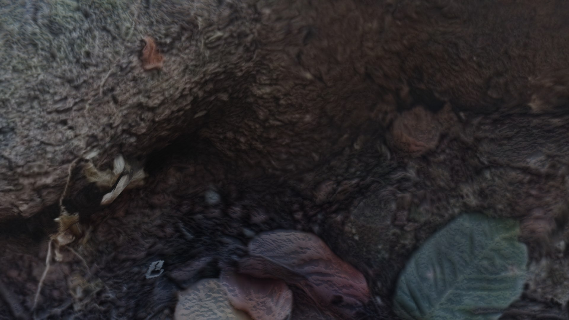 Tree Photo-scan Re-Typologies Low Poly Mid Poly And Raw Photo-scan ...