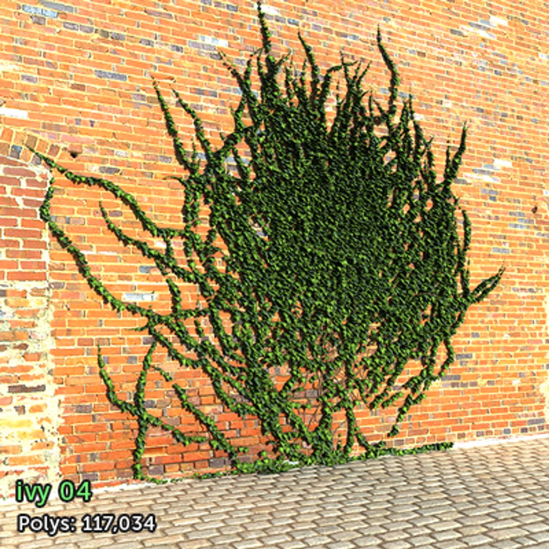 3d Ivy Walls
