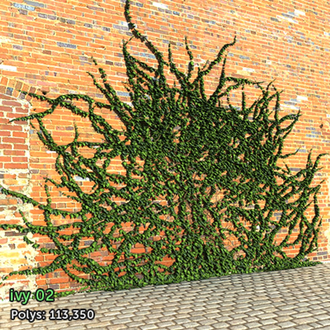 3d Ivy Walls