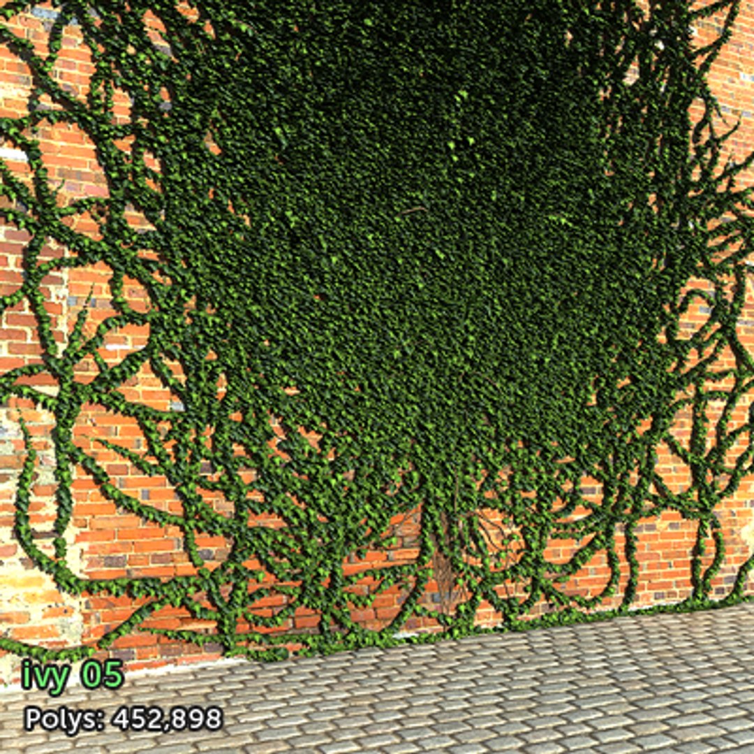 3d Ivy Walls