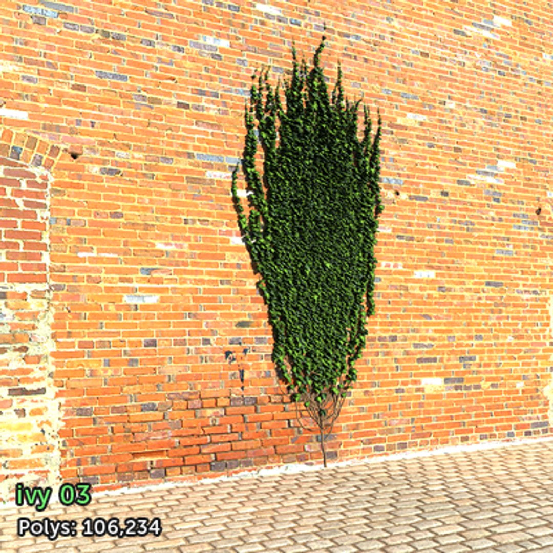 3d Ivy Walls