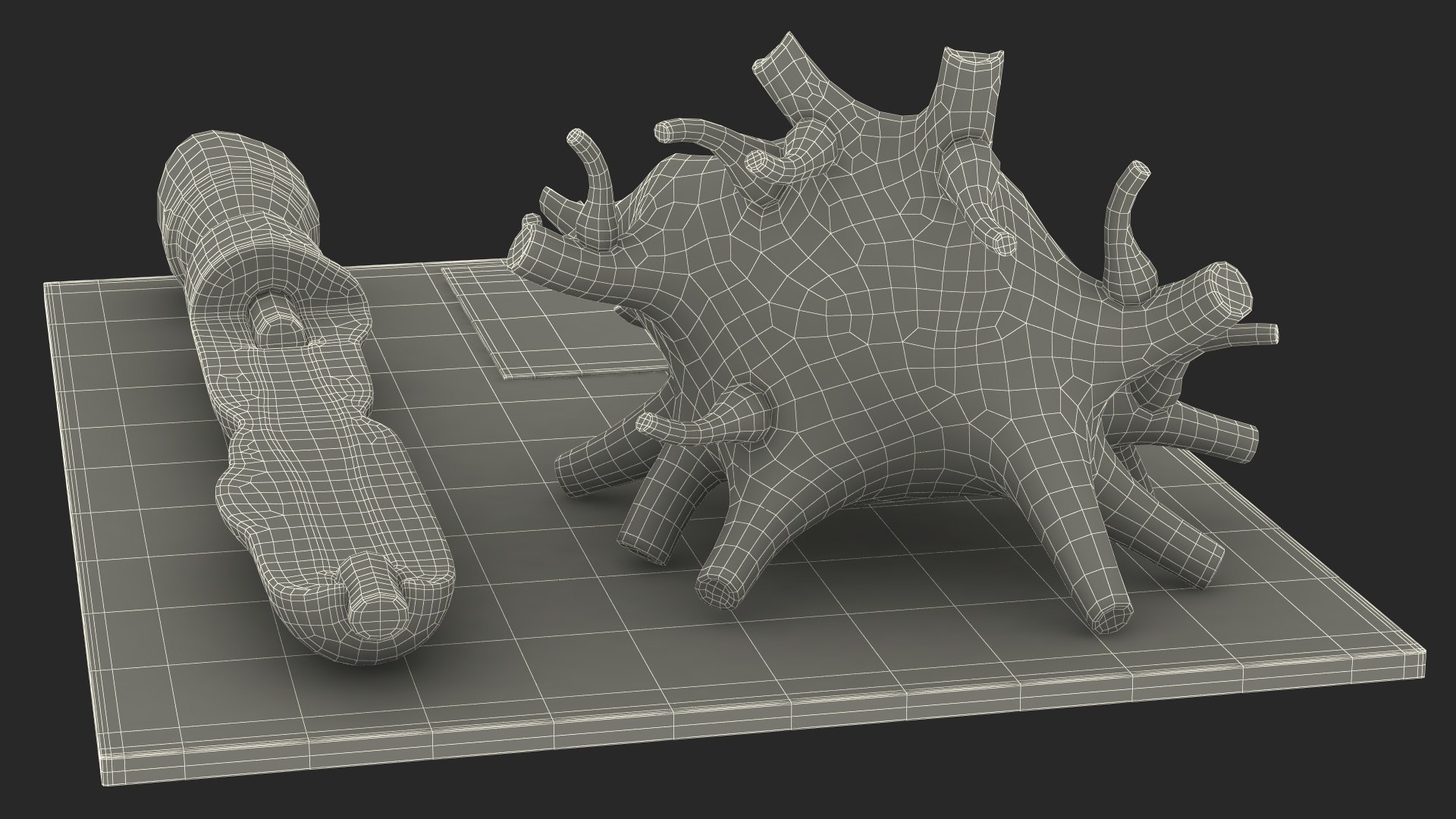 3D model Human Neuron Model Cross-Section on Stand - TurboSquid 2060147