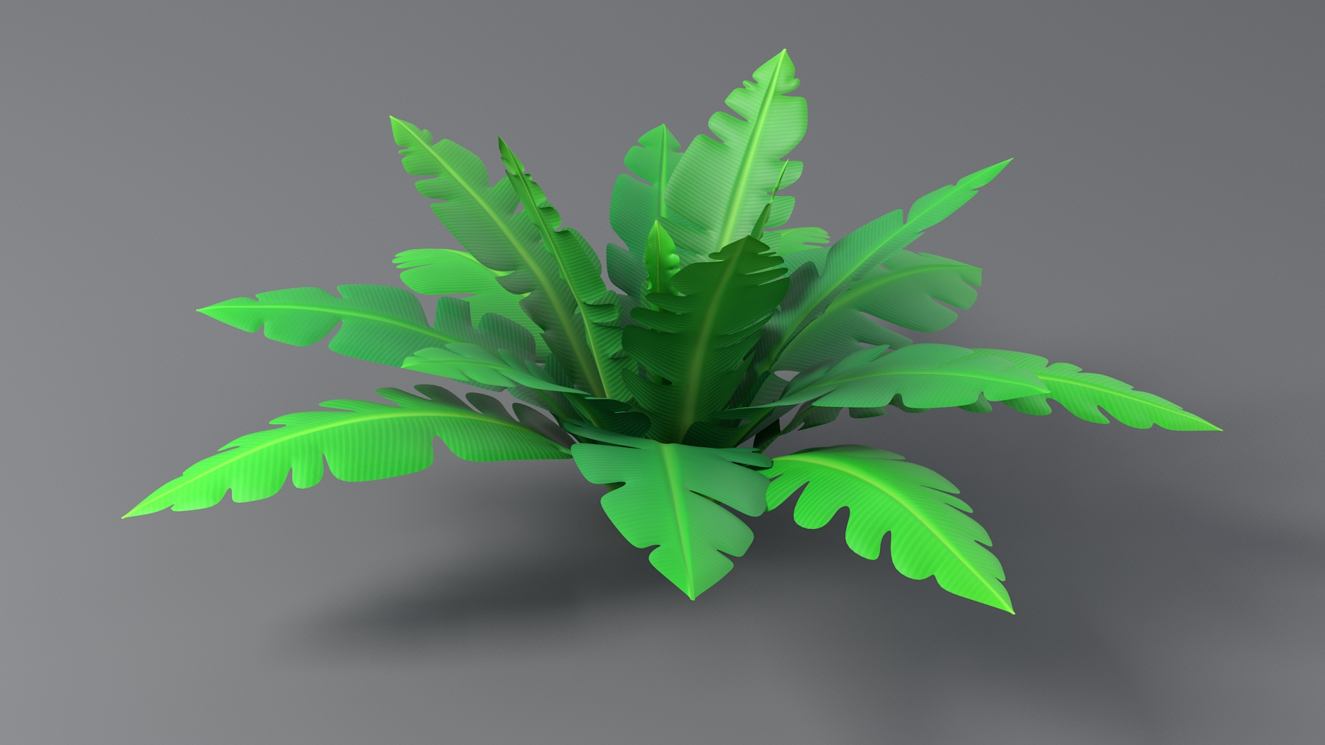 Cartoon Tropical Plant 02 3D Model - TurboSquid 1938339