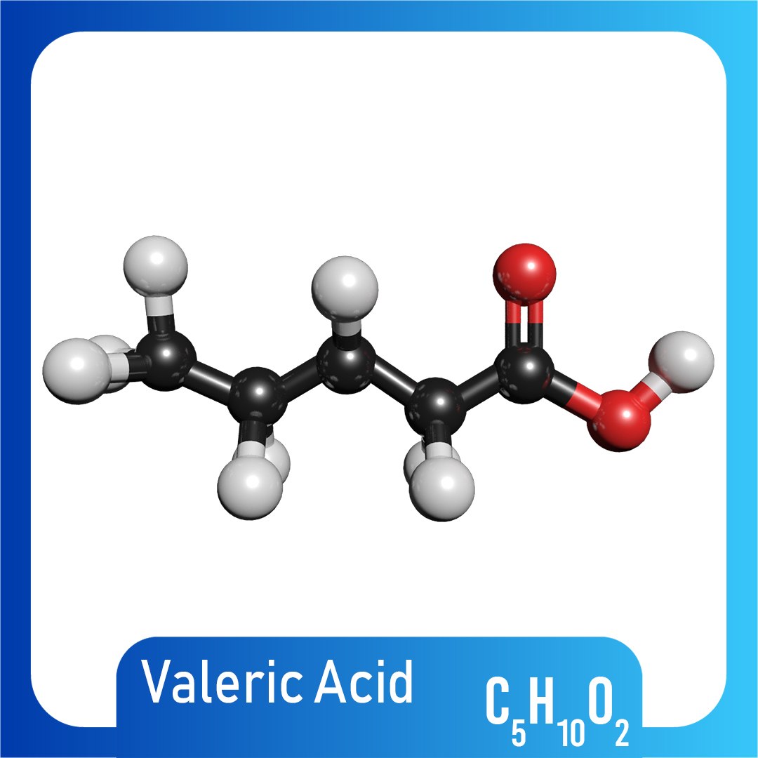 Valeric Acid Molecule C5h10o2 Model - TurboSquid 1427437