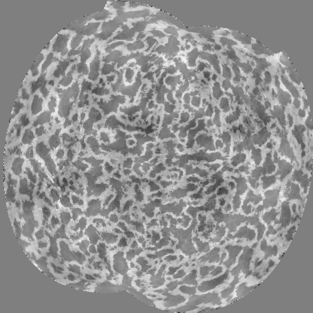 3d Model Filamentous Fungus Bacteria