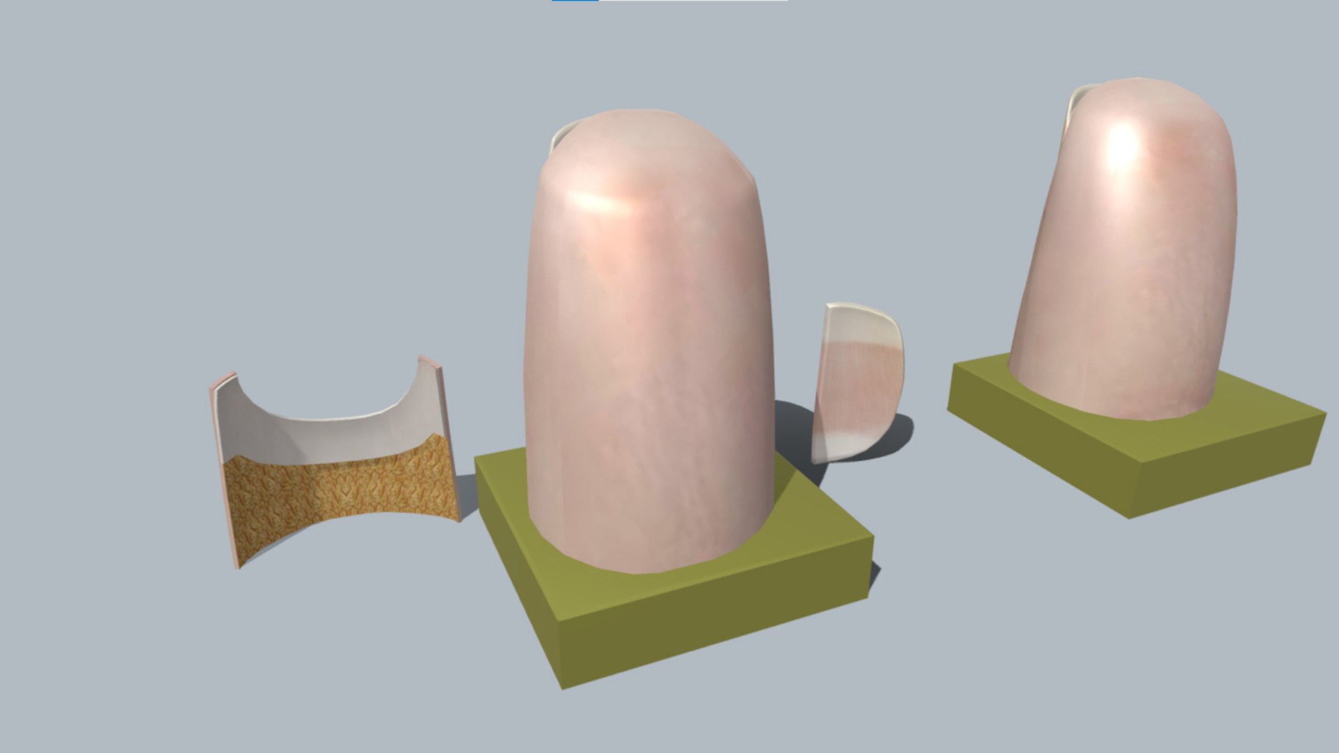 3D Fingernail Anatomy - TurboSquid 2300247
