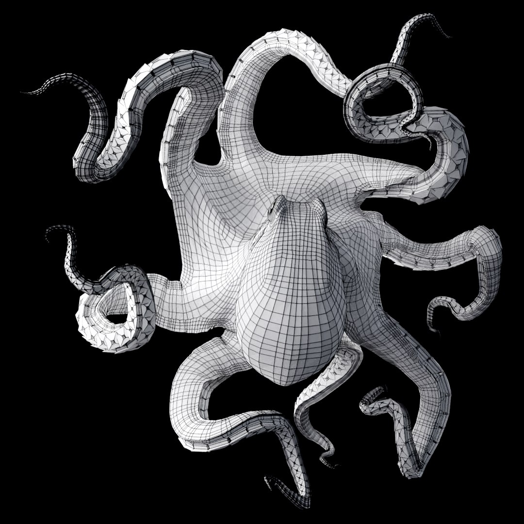 3D Model Animated Octopus - TurboSquid 2187371