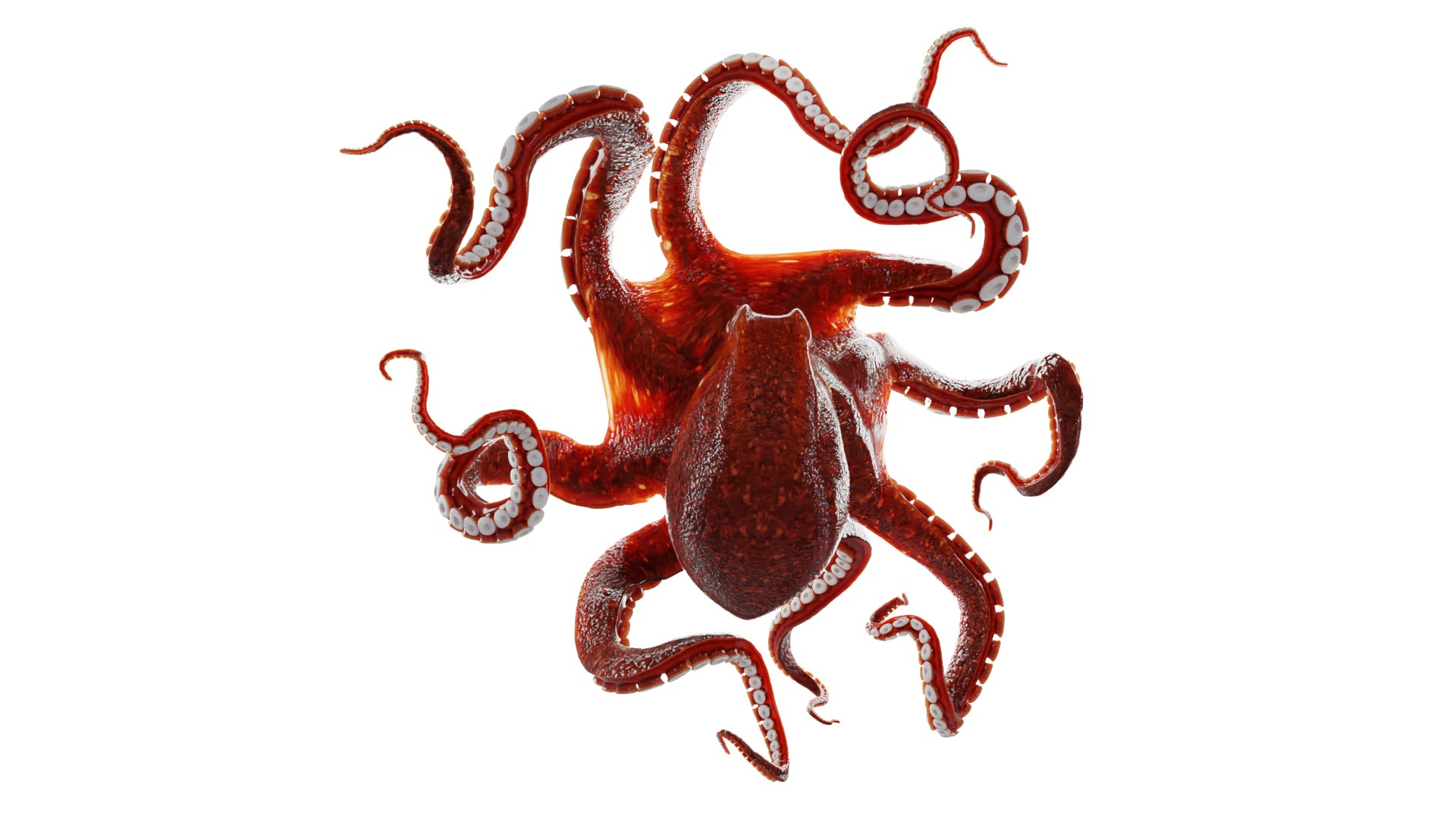 3D Model Animated Octopus - TurboSquid 2187371