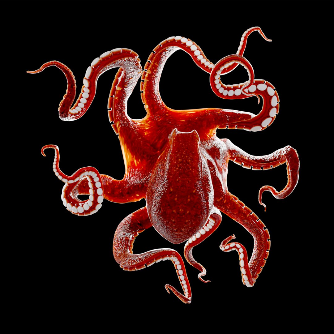 3D Model Animated Octopus - TurboSquid 2187371