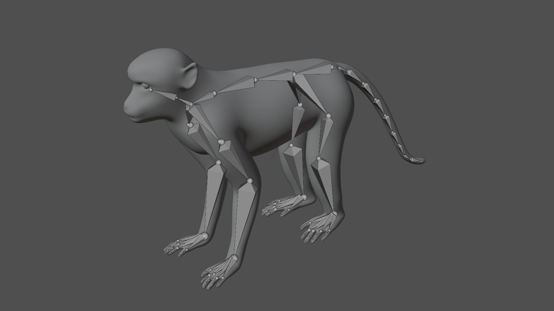 3D Fully Rigged Low Poly Monkey - TurboSquid 1754332