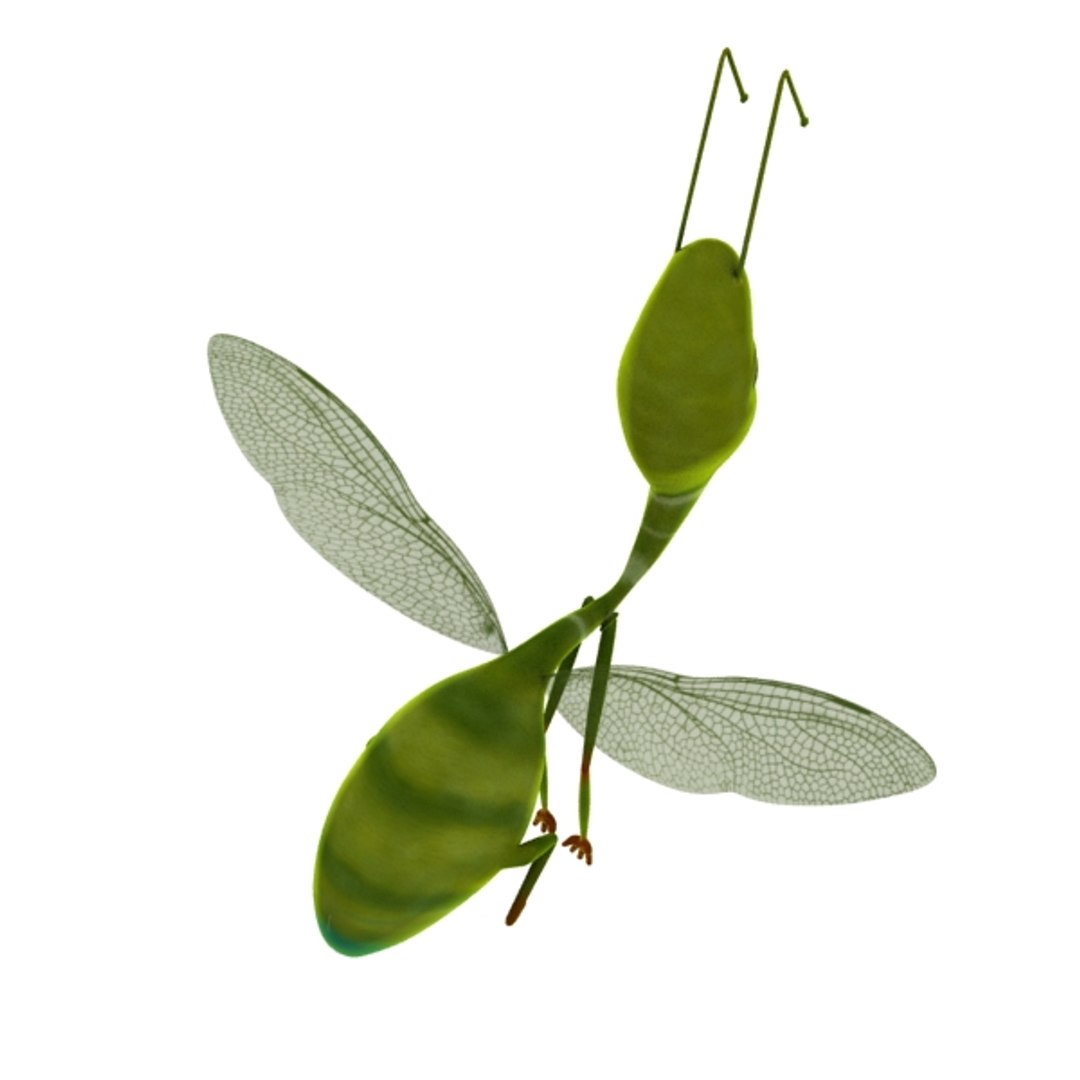 Cartoon Green Fly 3d Model