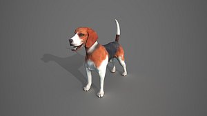 Free 3D Dog-Beagle Models | TurboSquid
