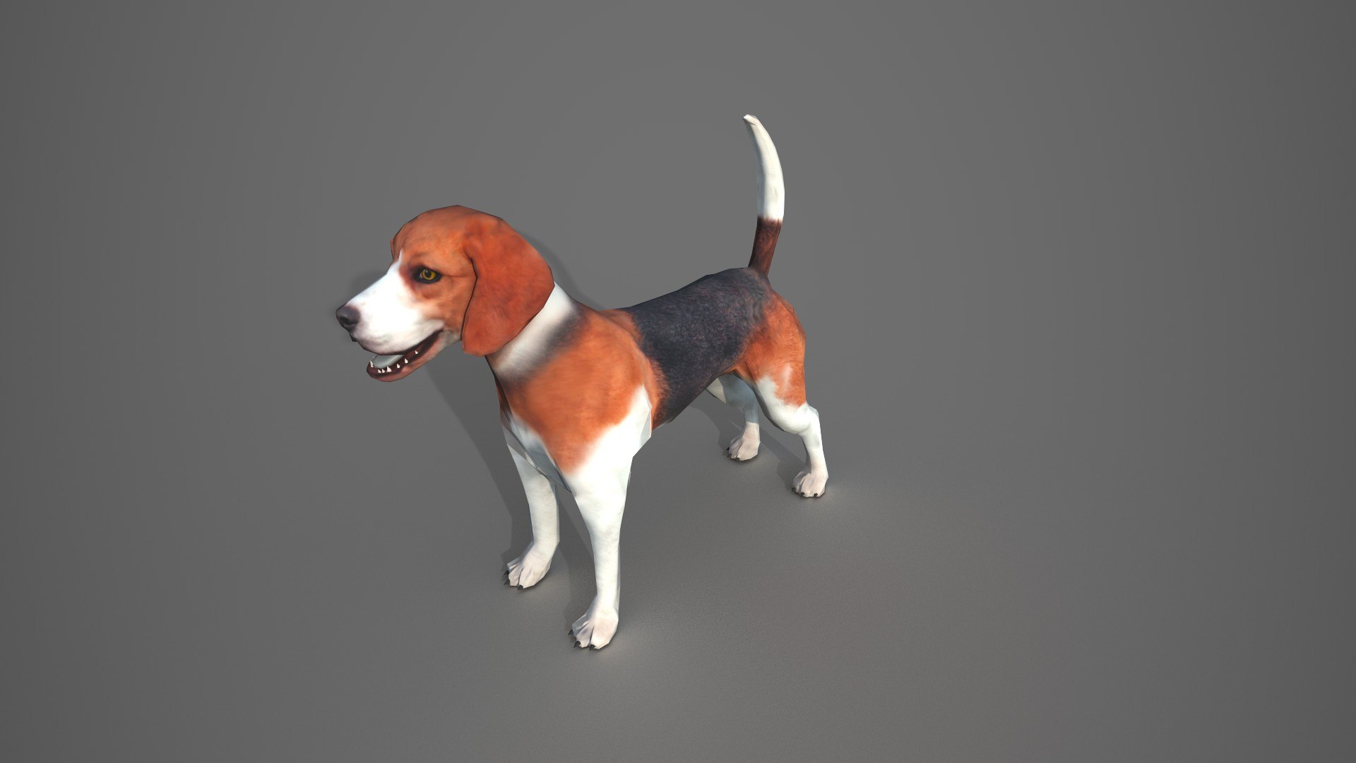 Beagle Dog Model - TurboSquid 2010340