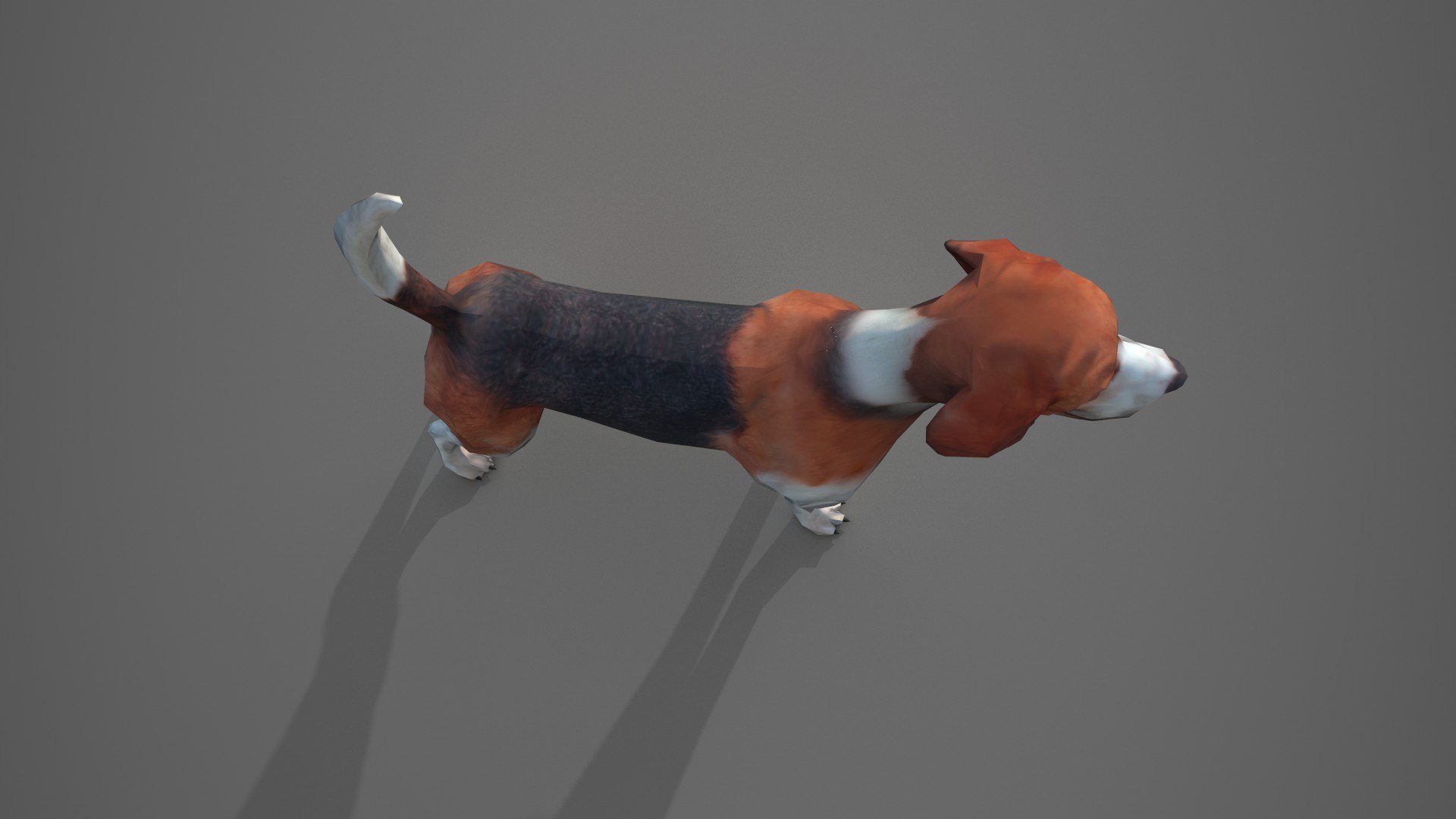 Beagle Dog Model - TurboSquid 2010340