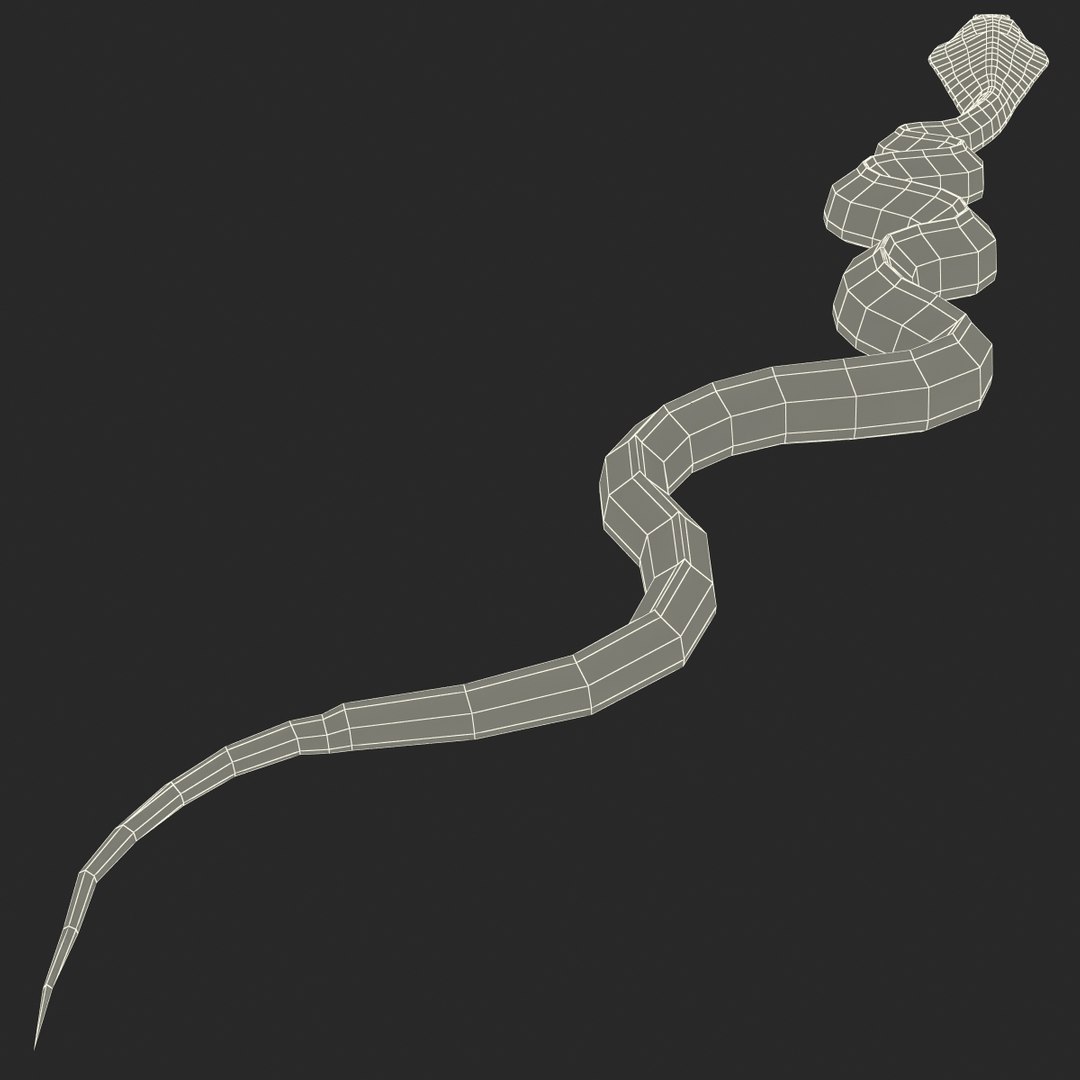 max snake cobra pose 1