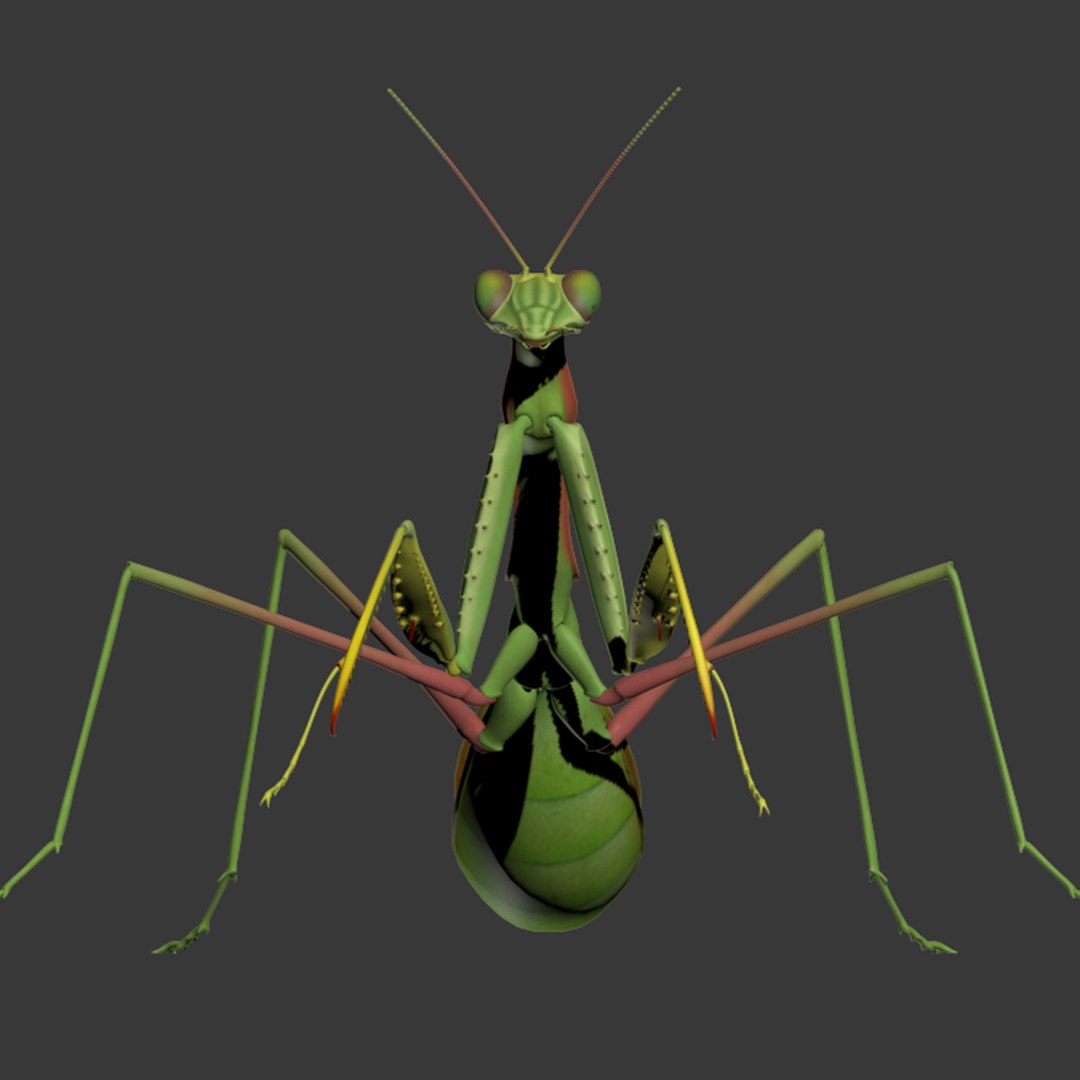 praying mantis rigged max
