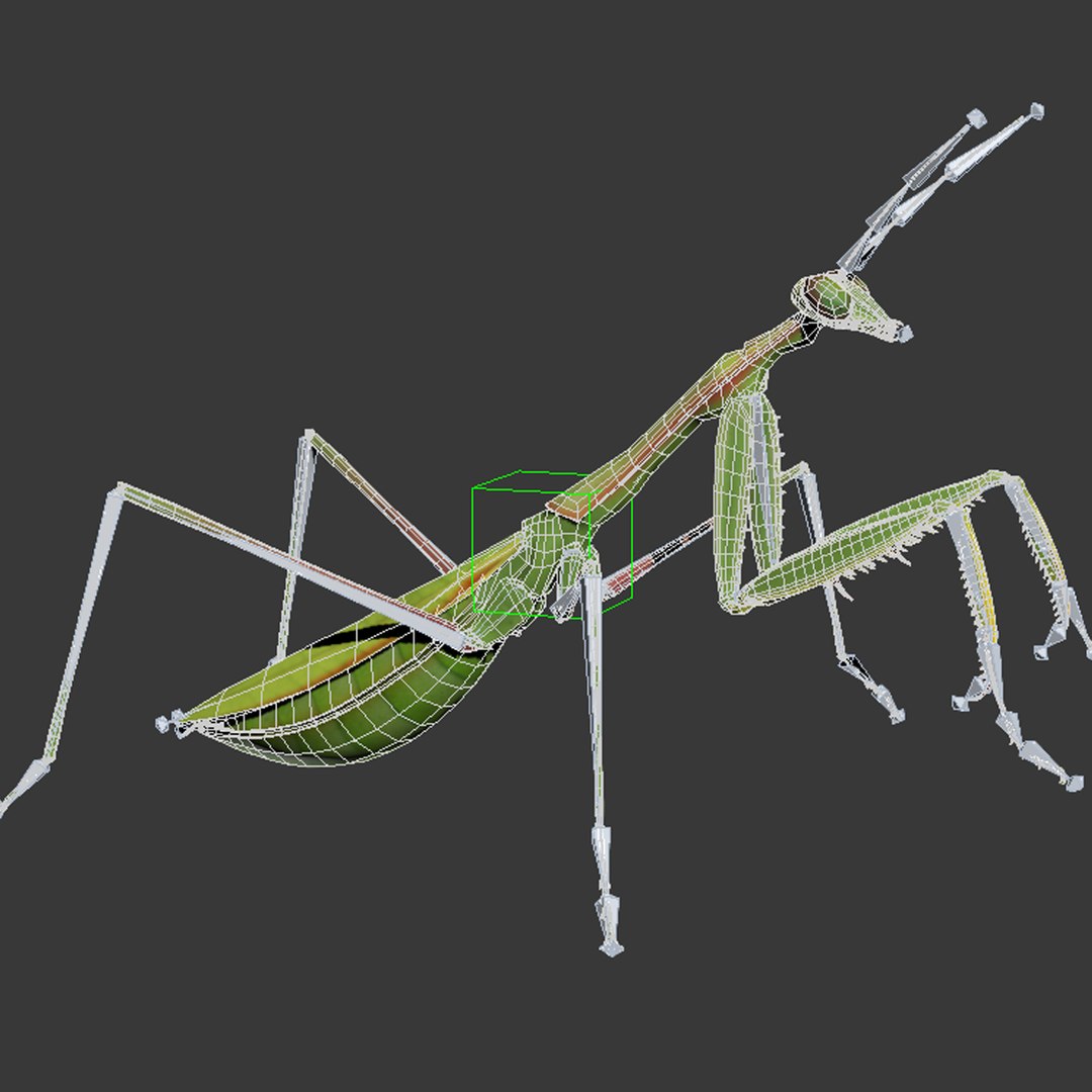 praying mantis rigged max