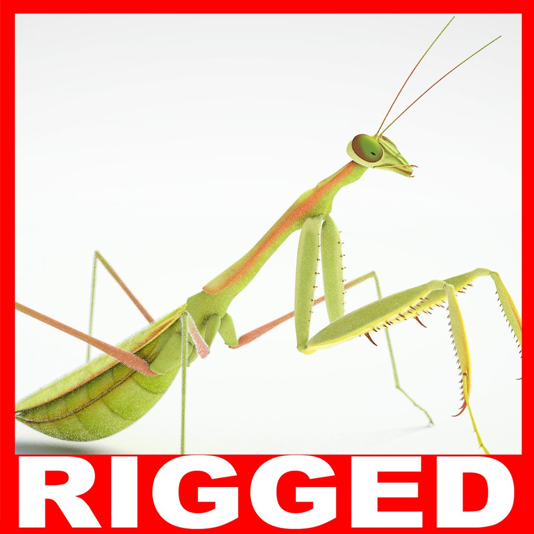 praying mantis rigged max